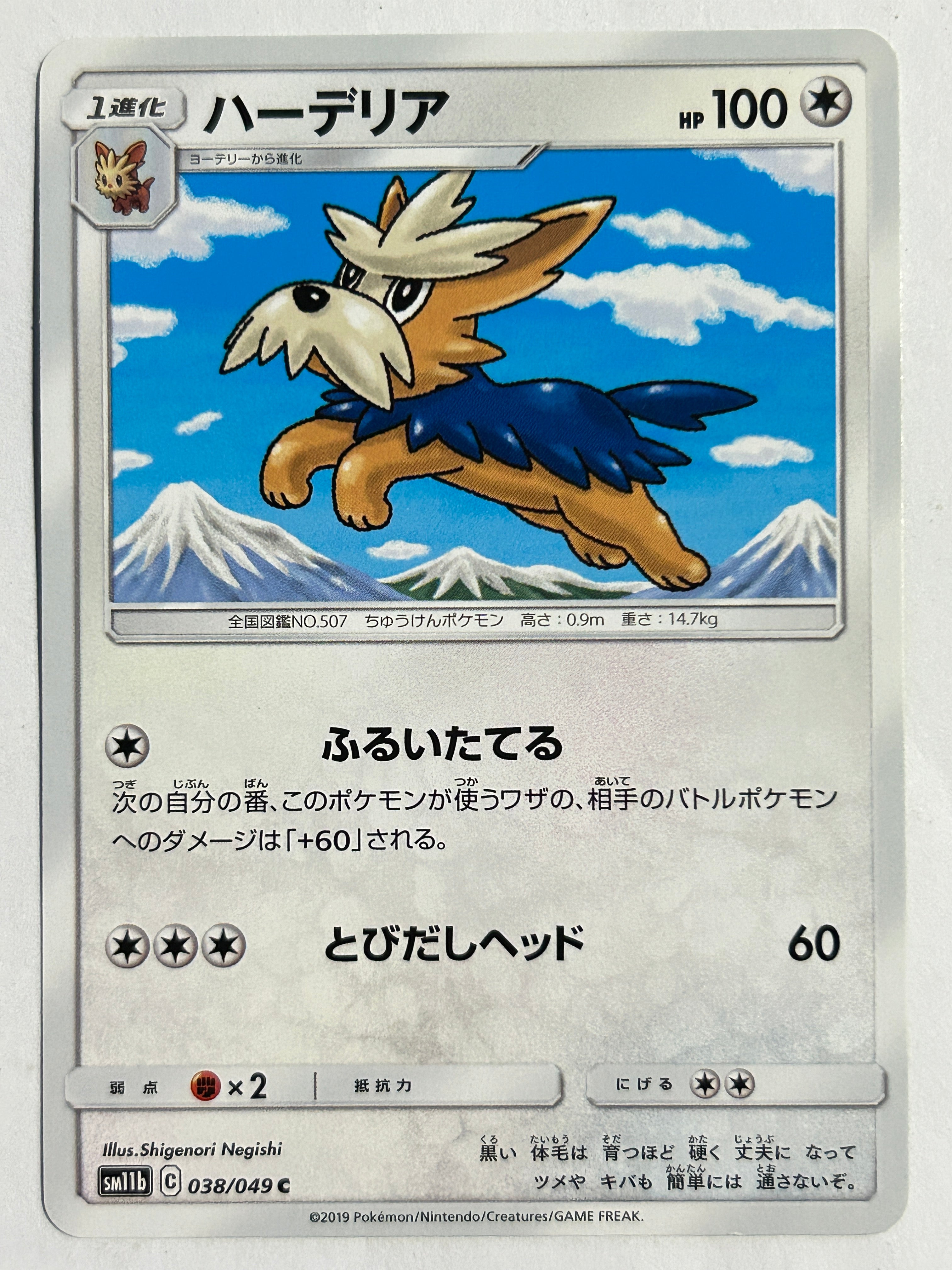 Pokémon TCG - Herdier - SM11b 038/049 C – Cuchiwaii