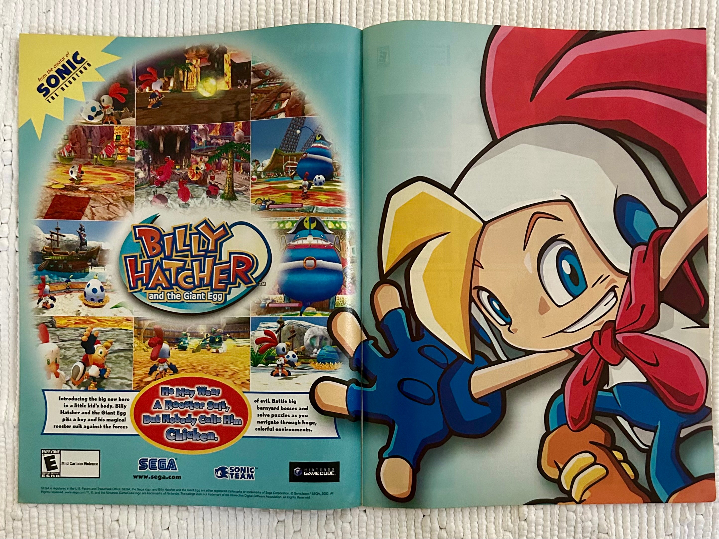 Billy Hatcher and the Giant Egg - NGC - Original Vintage Advertisement ...