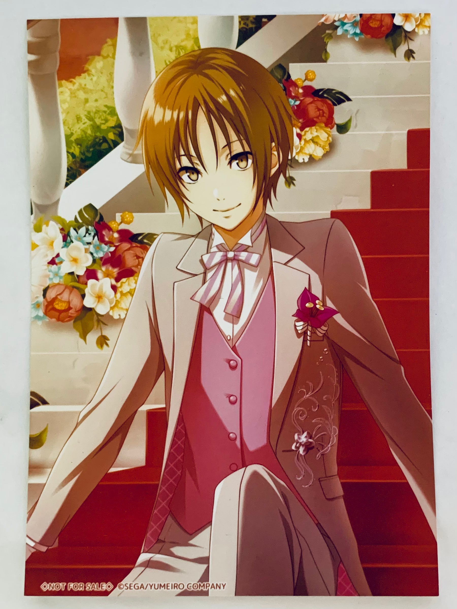 Yumeiro Cast - Sakuragi Hinata - Bromide - Raw Photo – Cuchiwaii
