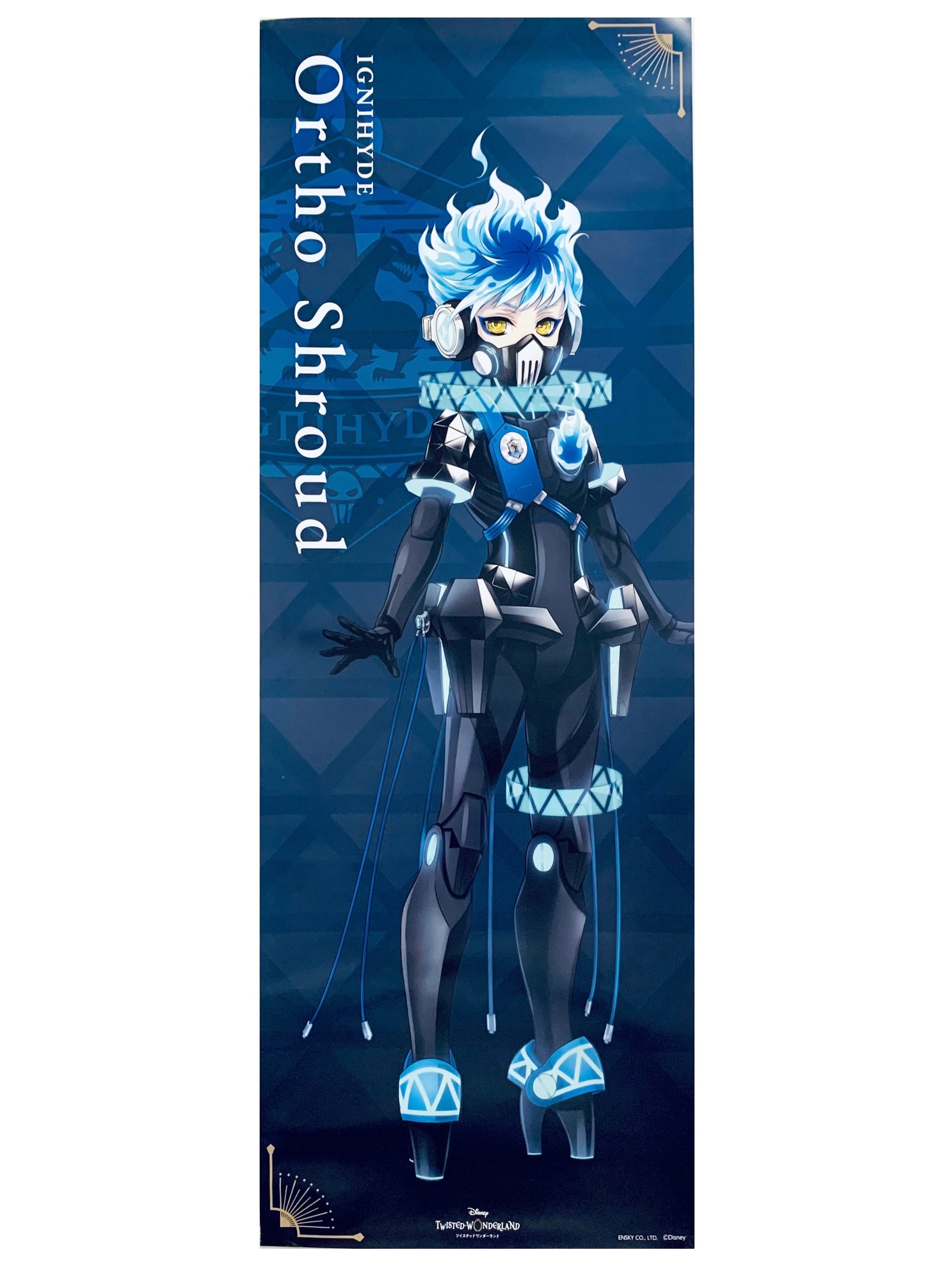 Twisted Wonderland - Ortho Shroud - Chara-Pos Collection - Stick Poste ...